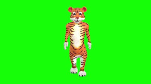 Tiger green screen Stock Video Footage - 4K and HD Video Clips ...