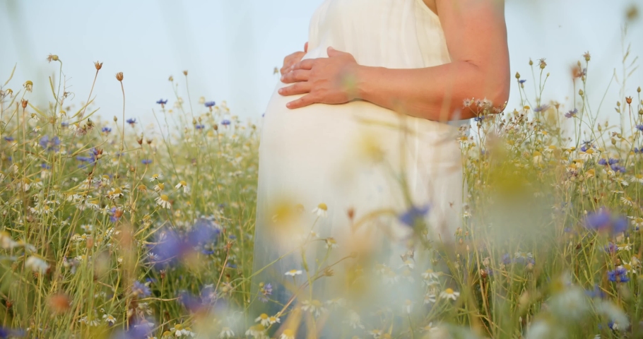 Beautiful pregnant belly flowers Stock Video Footage - 4K and HD Video ...