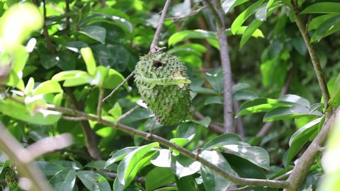 Stock Video Portfolio by 3K PROJECT | Shutterstock