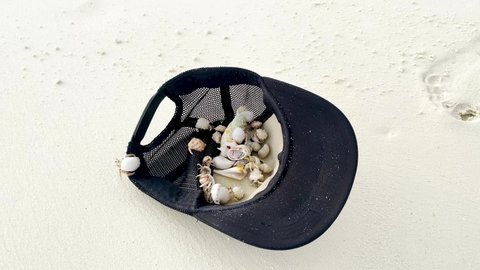 Full Cap Rapans Caught On Shore Stock Footage Video (100% Royalty-free ...