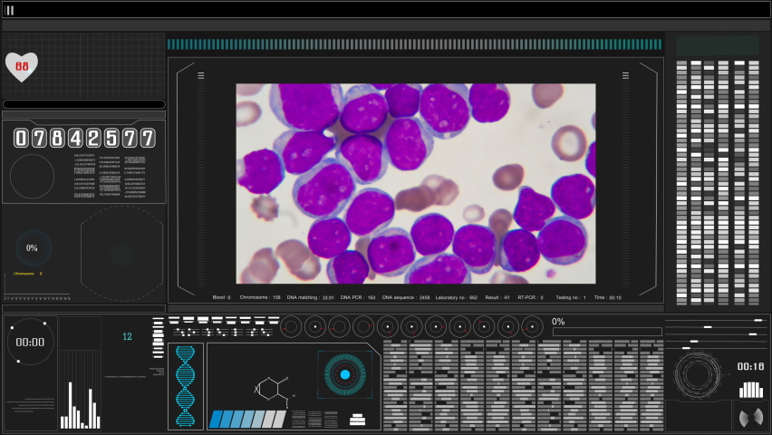 Ppt Layout Stock Video Footage - 4K and HD Video Clips | Shutterstock