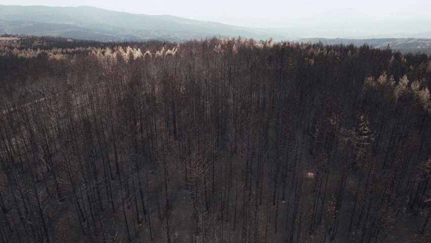 Ash Covered Area Stock Video Footage - 4K and HD Video Clips | Shutterstock