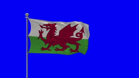 260 Wales national emblem Stock Video Footage - 4K and HD Video Clips ...