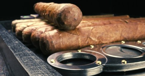 Cigars Humidor Cutter Matches Expensive Cigar Stock Footage Video (100% ...