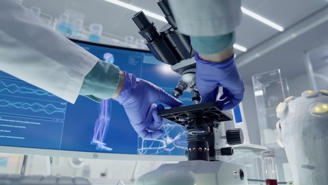 Laboratory Equipment Human Skeleton Models On Stock Footage Video (100% ...