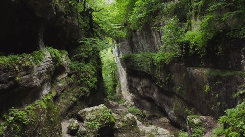 Deep Crevice Between Sheer Cliffs Overgrown Stock Footage Video (100% ...