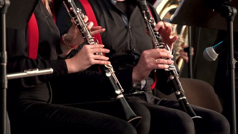 Orchestra Members Playing Clarinets During Jazz Stock Footage Video ...