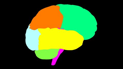 Human Brain Multi Colored Sectors On Stock Footage Video (100% Royalty ...