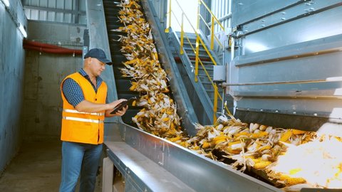Corn Corn Processing Factory Enterprise Production Stock Footage Video ...
