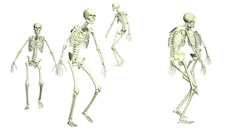 Skeleton Marching Circle Animation Footage 3d Stock Footage Video (100% ...