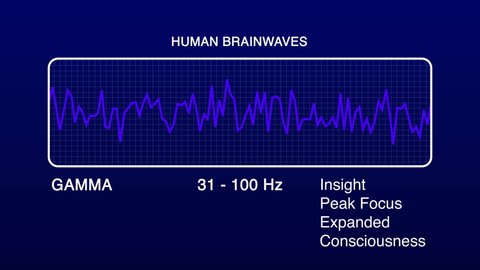 Gamma Human Brain Waves Diagram Illustration Stock Footage Video (100% ...