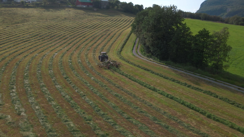 Raking of Cut Silage Crop Stock Footage Video (100% Royalty-free ...