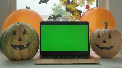 Pumpkin green screen Stock Video Footage - 4K and HD Video Clips ...