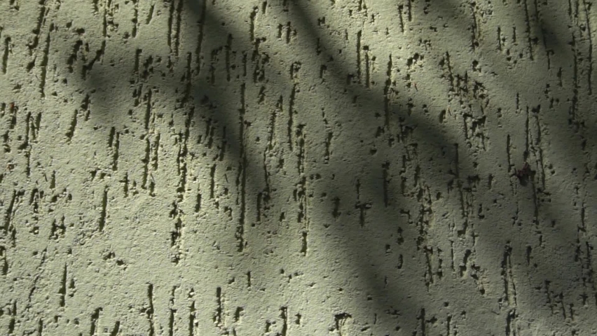 Plasterboard texture Stock Video Footage - 4K and HD Video Clips ...