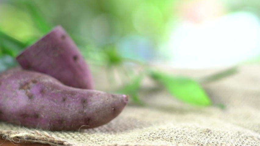 11 Violet potato chips Stock Video Footage - 4K and HD Video Clips ...