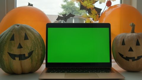 Pumpkin green screen Stock Video Footage - 4K and HD Video Clips ...