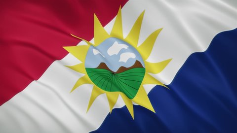 Yaracuy Waving Flag Video Background Stock Footage Video (100% Royalty ...