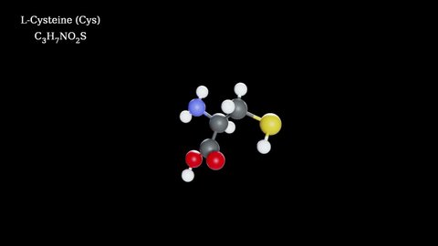 Lcysteine 3d Molecular Structure Animation Transparent Stock Footage ...