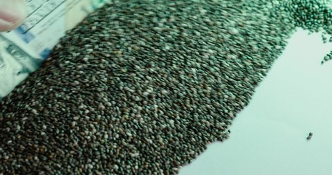 Hand One Hundred Bill Stirs Chia Stock Footage Video (100% Royalty-free ...