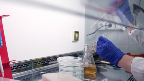 Scientist Uses Dispenser Add Antibiotic Culture Stock Footage Video ...