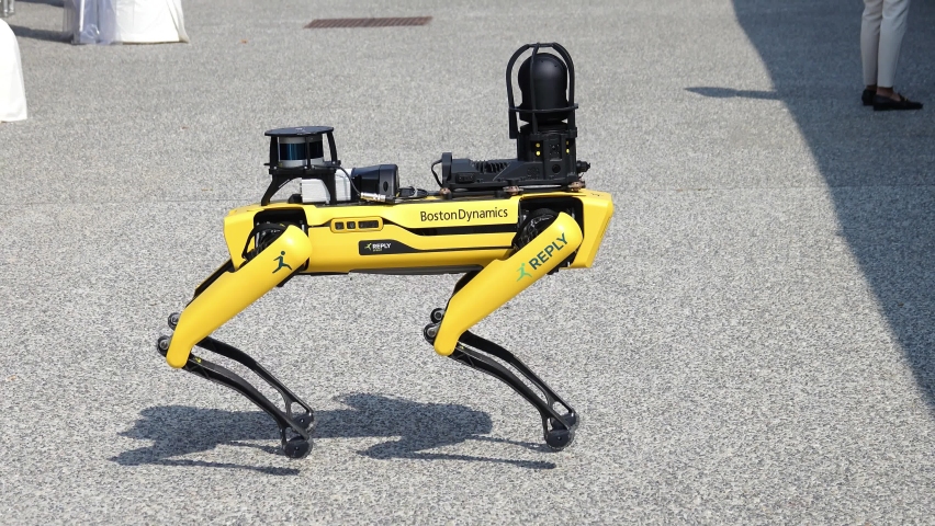 131 Mechanic dog Stock Video Footage - 4K and HD Video Clips | Shutterstock