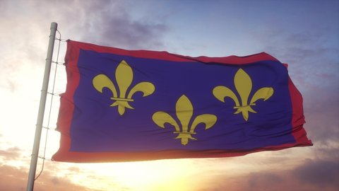 7 Anjou flag Stock Video Footage - 4K and HD Video Clips | Shutterstock