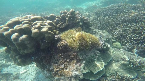 Tour Cockscomb Island Popular Nature Under Stock Footage Video (100% ...