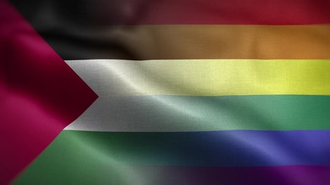 Lgbt Palestine Flag Loop Background 4k Stock Footage Video (100% ...