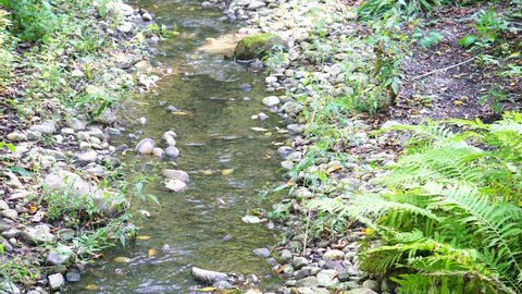 Shallow River Lake Bed Landscape Stock Footage Video (100% Royalty-free ...