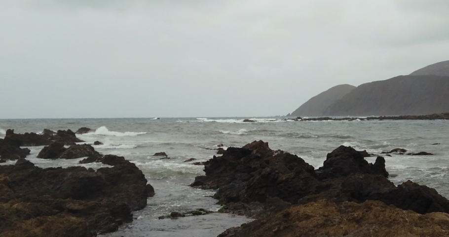 Moa point Stock Video Footage - 4K and HD Video Clips | Shutterstock