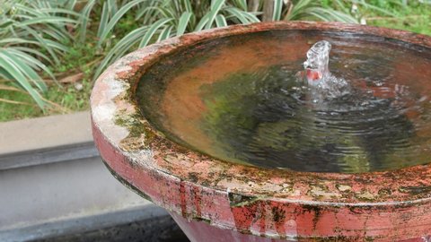 Smooth Sliding View Small Water Flow Stock Footage Video (100% Royalty ...