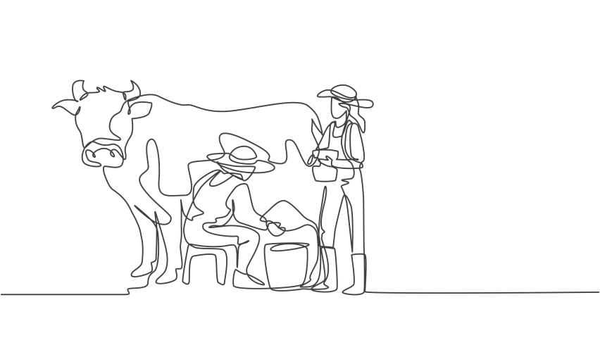 Milk line drawing Stock Video Footage - 4K and HD Video Clips ...