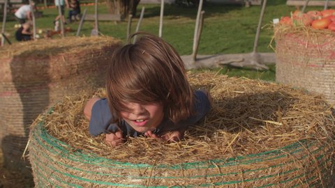 Boy Jumps On Hay Village He Stock Footage Video (100% Royalty-free ...