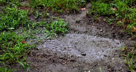 Rain Hitting Puddle Mud On Ground Stock Footage Video (100% Royalty ...