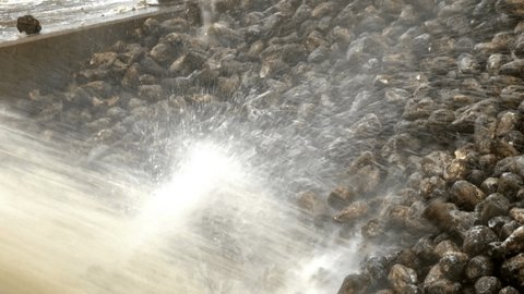 Unloading Washing Sugar Beet Further Processing Stock Footage Video ...