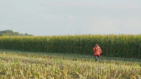 Hunter Controls Corn Field Wild Animals Stock Footage Video (100% ...