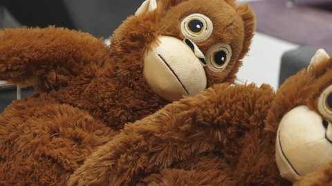 Closer Look Monkey Stuff Toys Inside Stock Footage Video (100% Royalty ...