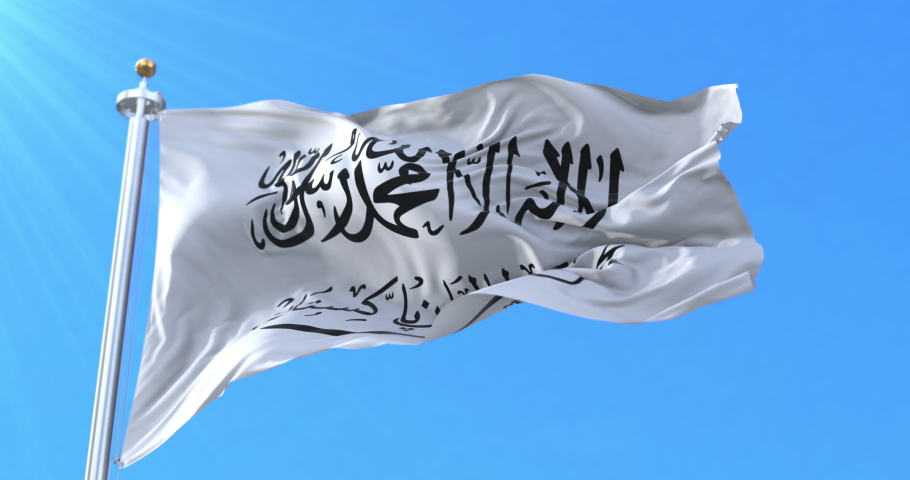 Ttp symbol Stock Video Footage - 4K and HD Video Clips | Shutterstock