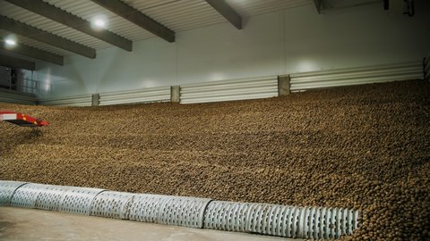 Potato storage Stock Video Footage - 4K and HD Video Clips | Shutterstock