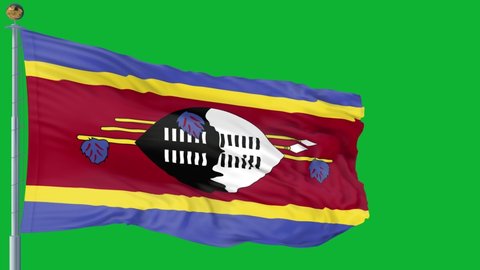 Swaziland Flag Waving 3d Animation Swaziland Stock Footage Video (100% ...