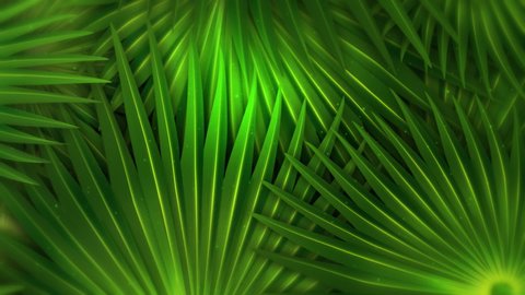 Unique Animated Green Leaf Video Background Stock Footage Video (100% ...
