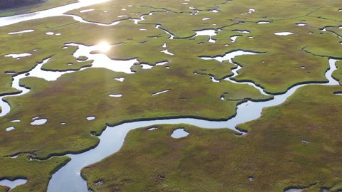 Channels Meander Through Healthy Salt Marsh Stock Footage Video (100% ...