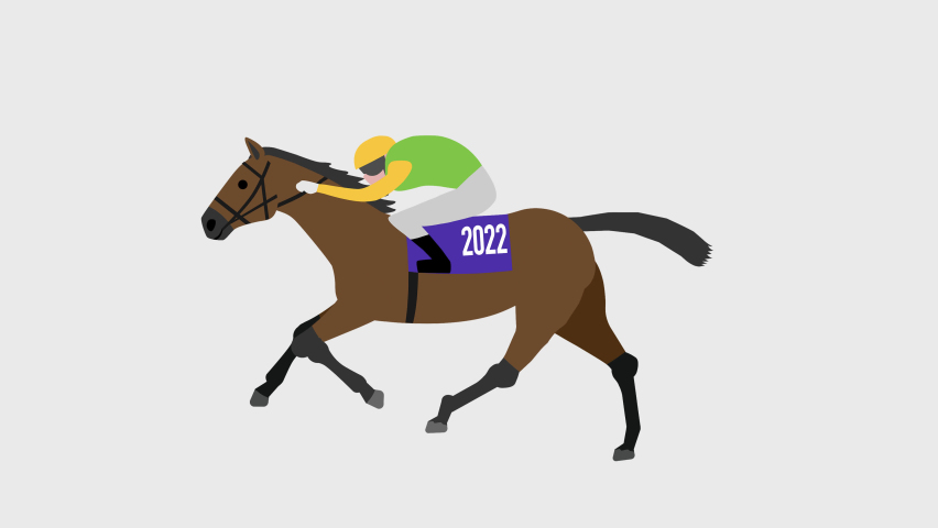 Horse racing pattern Stock Video Footage - 4K and HD Video Clips ...