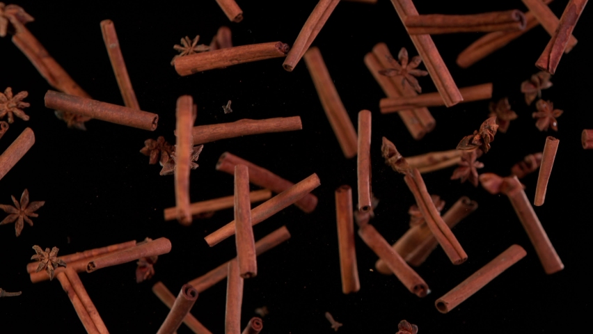 Bark Effect Stock Video Footage - 4K and HD Video Clips | Shutterstock