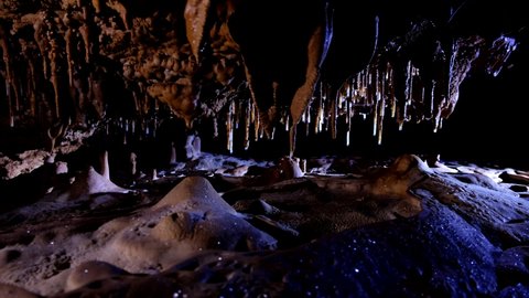 Forest Small Stalactites Stalagmites Such Alien Stock Footage Video ...
