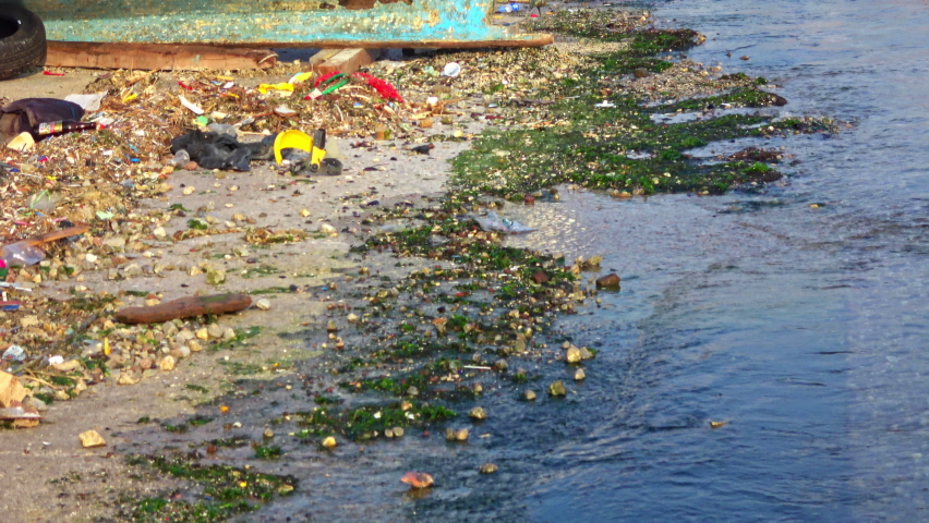 sea beach marina dock pollution waste Stock Footage Video (100% Royalty ...