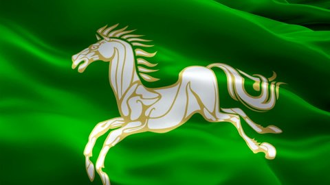 Rohan Horse Flag National 3d Rohan Stock Footage Video (100% Royalty ...