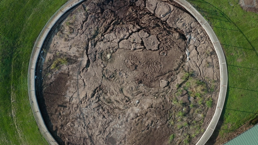 Farm animal poop Stock Video Footage - 4K and HD Video Clips | Shutterstock