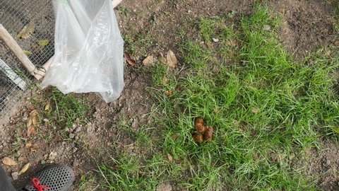 174 Girl Poop Stock Video Footage - 4K and HD Video Clips | Shutterstock