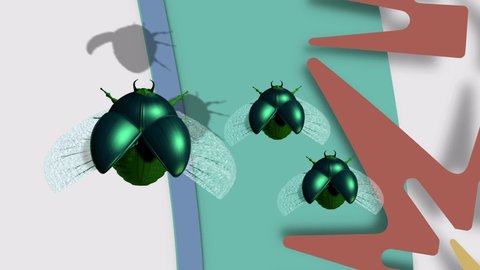 3d Animation Three Scarab Beetle Flying Stock Footage Video (100% ...